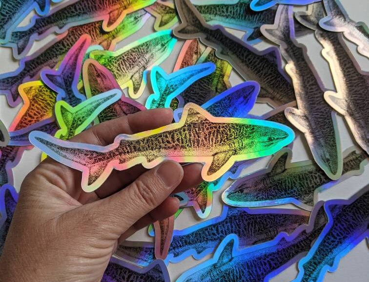 Holographic Tiger Shark Sticker - Tiger Shark Decal - Tiger Shark Lapt ...